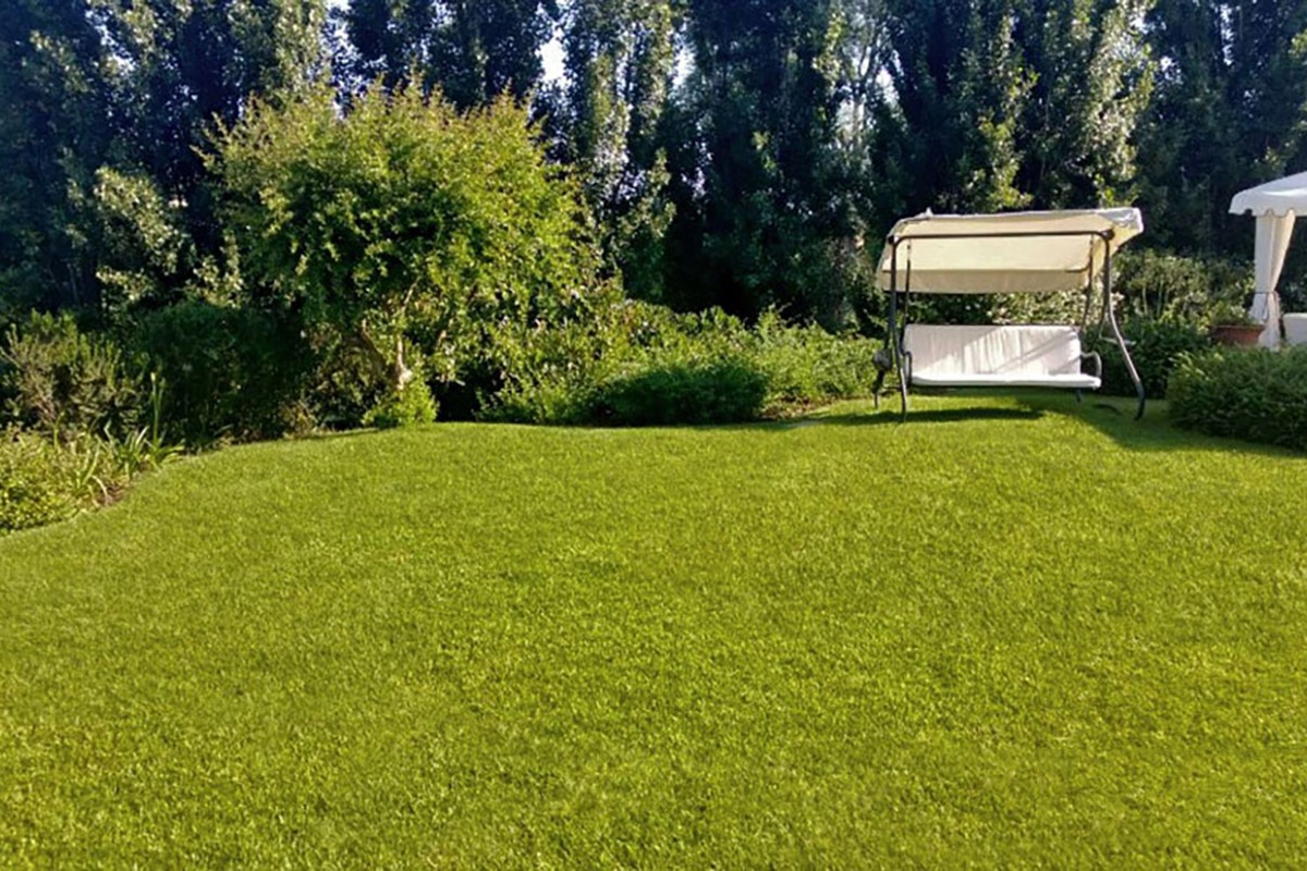 Rigenera il tuo prato! - Pellegrini Giardini