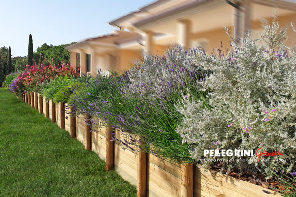 Le palizzate in legno per contenere il terreno ~ Pellegrini Giardini